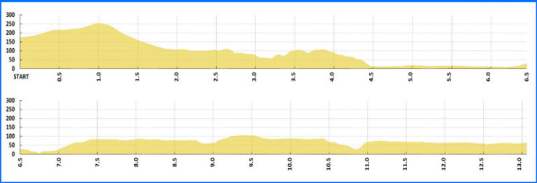 Orange County California Half Marathons 2026 - Register Now